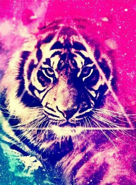 100 Cool Djur Galax Wallpaper Wallpapers