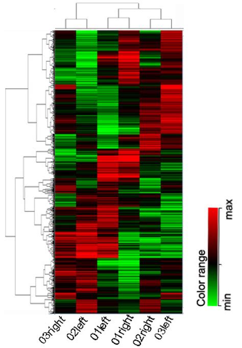 coupled two way clustering of samples and differentially expressed download scientific diagram
