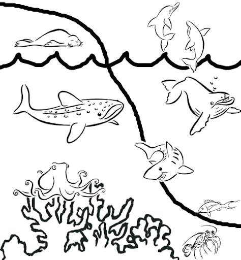 Dia Mundial De Los Oceanos Para Colorear Imagui
