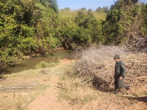 Fazendeiro é autuado em R 213 mil por destruir vegetação nativa em