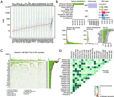 Analyses Of The LUSC Mutation Data Based On TCGA Database A The TMB