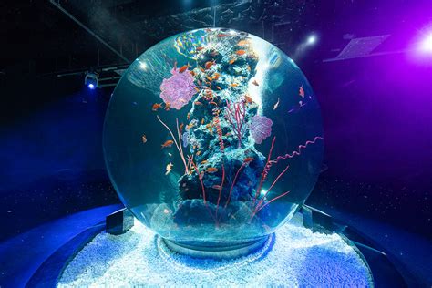 神戸ポートミュージアムátoaアトアアクアリウムとアートが融合した新感覚の都市型水族館 Discover Japan