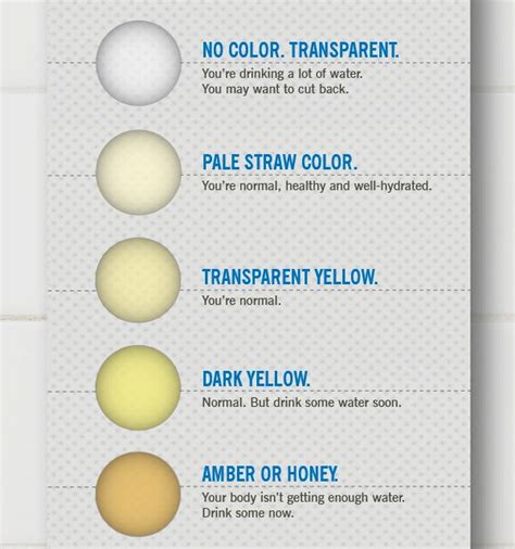 Straw Colored Urine Images At Clay Hogan Blog
