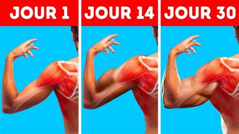 6 Exercices Rapides Pour Avoir de Plus Larges Épaules YouTube