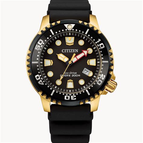 Citizen Promaster Diver Eco Drive Watch Harry Ritchie S