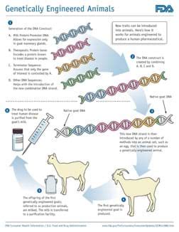 Introduction To Genetic Engineering And Its Applications Lesson
