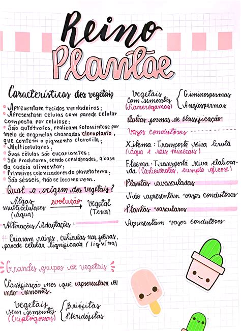Reino Plantae Reino Plantae Mapa Mental Plantae