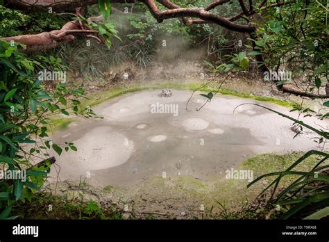View Of Boiling Mud Pot In Rincon De La Vieja National Park In Costa