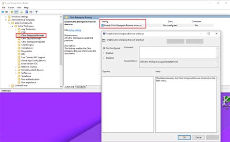 Citrix Workspace App Ltsr F R Windows Erste Version