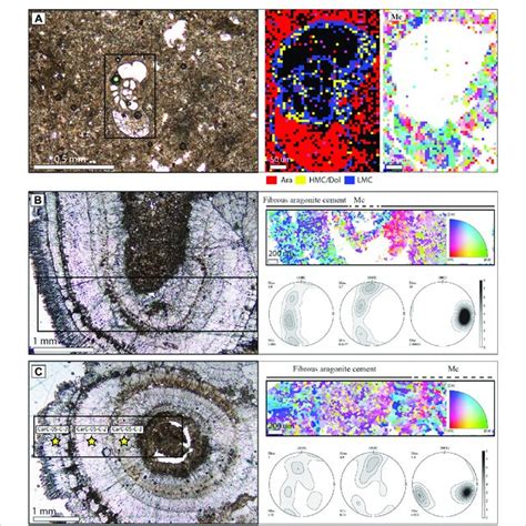 Thin Section Micrographs And Ebsd Phase And Crystal Orientation Maps Of