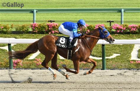 週刊GallopWeekly Gallop on Twitter 東京11R欅Sは1番人気レモンポップが勝利 好位から抜け出して