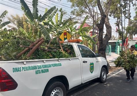 Antisipasi Bencana Disperkim Lakukan Pemangkasan Pohon Dinas