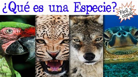 Qué es una especie Fácil y Rápido BIOLOGÍA YouTube