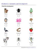 Consumers Producers And Decomposers Venn Diagram Worksheet