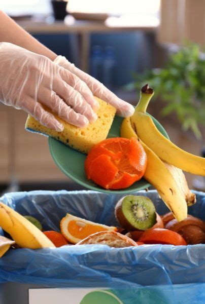 Claves Para Reducir El Desperdicio De Alimentos En Tu Cocina Mui