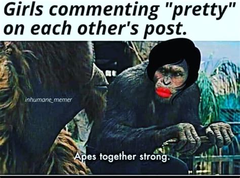 The Best Apes Memes Memedroid