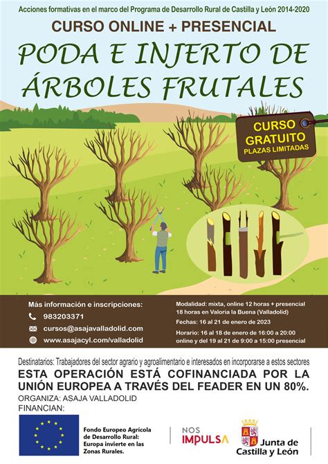 Curso gratuito de poda e injerto de árboles frutales ASAJA Valladolid