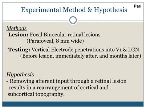 Ppt Receptive Field Dynamics In Adult Primary Visual Cortex