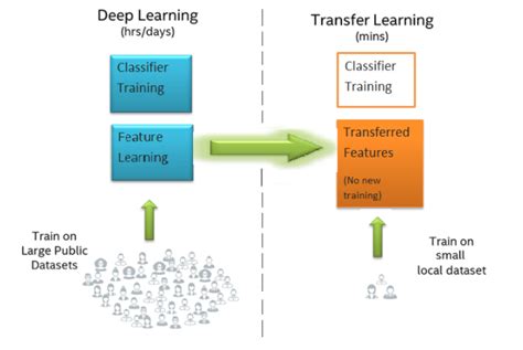 transfer learning fine tuning image to u