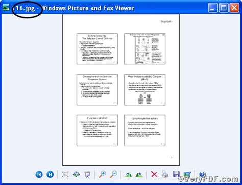 How To Convert Prn To Via Command Line VeryPDF Knowledge Base