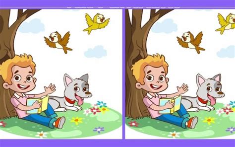 Défi visuel Pouvez vous trouver 3 différences entre ces deux images