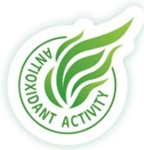 BIO Zestaw GreenWays Jęczmień Chlorella Warszawa Kup teraz na