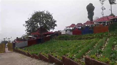 Mbah Djoe Resort Youtube