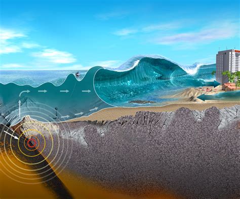 ENSEÑAR APRENDER CÓMO SE FORMA UN TSUNAMI