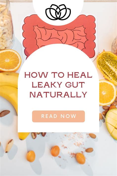 Leaky Gut Is One Of The MOST Common Health Issues Out There Right Now