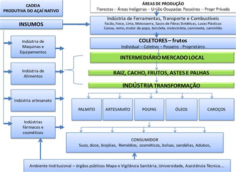Cadeia Produtiva Do A Ai