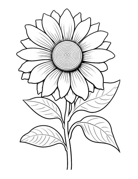 Pin By Ritarose On Herbst Sunflower Coloring Pages Coloring Pages