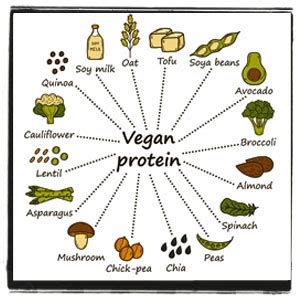Vegan Protein Sources List
