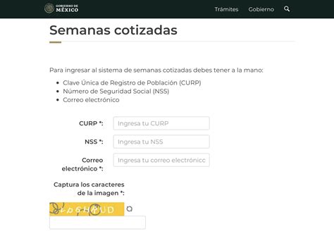 Guía para obtener las Semanas Cotizadas IMSS PDF gratis