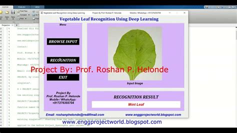 vegetable leaf recognition using deep learning matlab project with source code vegetable leaf