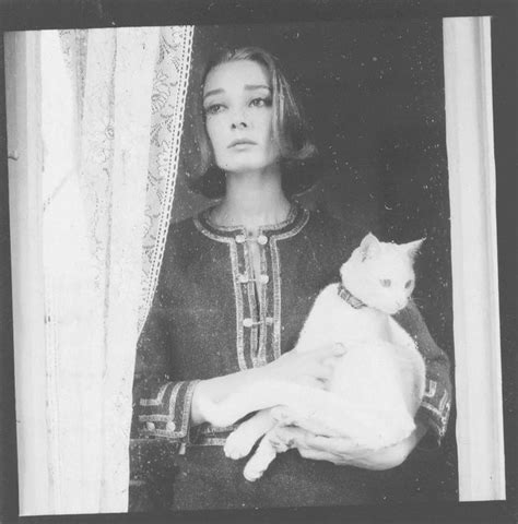 Audrey Hepburn On Instagram Audrey Hepburn Photographed By Richard