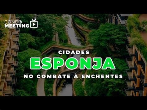Saiba o que são CIDADES ESPONJA e como elas podem evitar ENCHENTES
