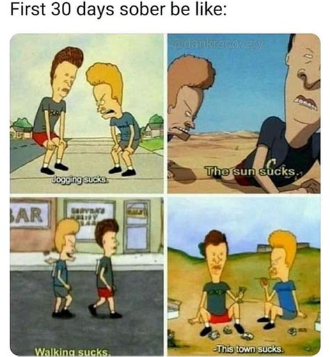 Memes You Won T Be Court Ordered To Quit 23 Sober Memes