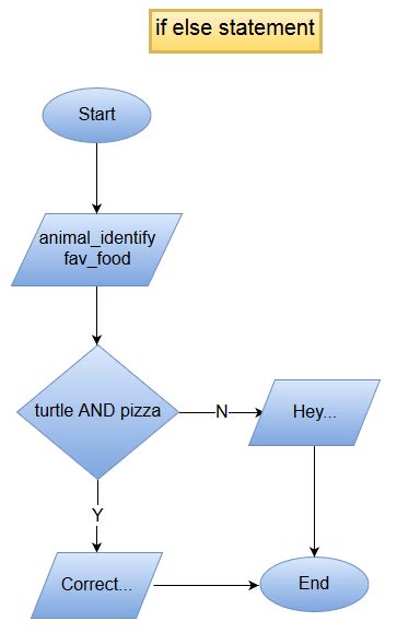 Phython Elif Statement Flowchart