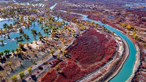 Le long des grands fleuves de Chine l écologie du fleuve Tarim