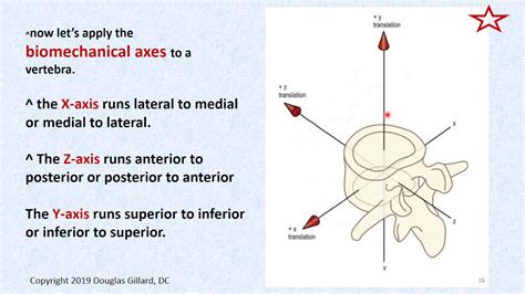 Biomechanics Of The Motion Segment Just The Basics Week 10 Spinal