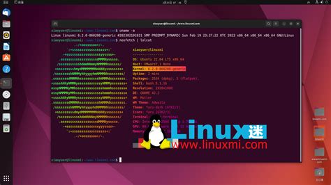 在 ubuntu linux 上安装最新 linux kernel 6 2 linux迷