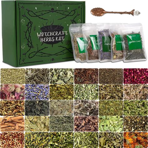Amazon Kit de hierbas de brujería para principiantes de bruja