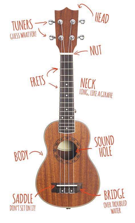 Ukulele Parts Diagram Ukulele Go