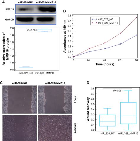MMP16 Overexpression Partially Reverses The Mir 328 3p Inhibited Cell