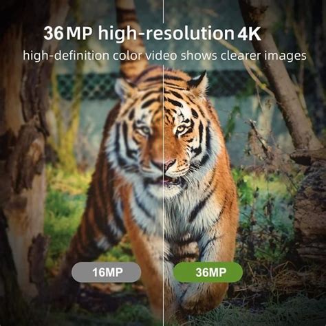 Camera De Chasse Nocturne 36MP 4K HD Camera Chasse Infrarouge Vision