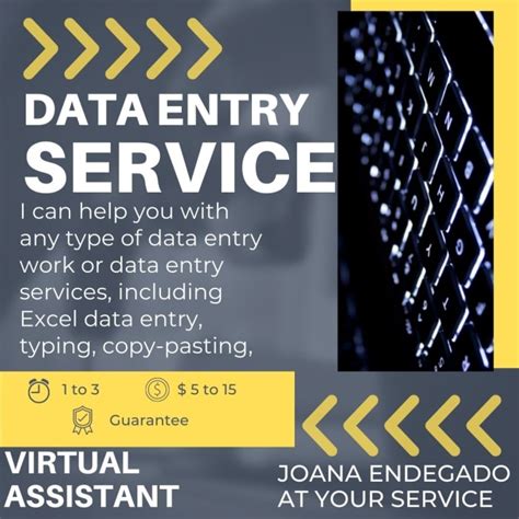 do data entry typing work copy paste excel data entry by joana endegado fiverr