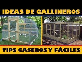 C Mo Hacer Gallineros Caseros Maripo
