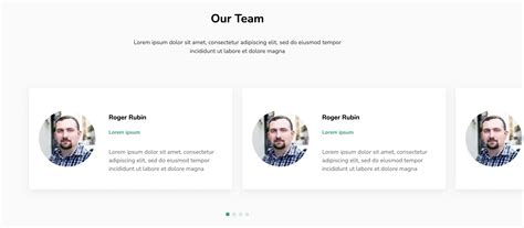 Top 10 Team Section For Websites With Design Html CSS And JavaScript