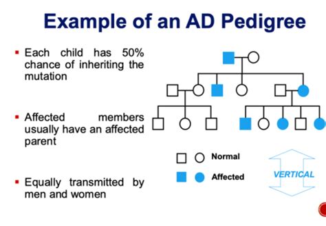 Genetics Pedigree Analysis Flashcards Quizlet
