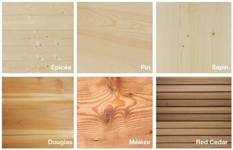Quels Sont Les Types De Bois Comment Choisir Son Bois